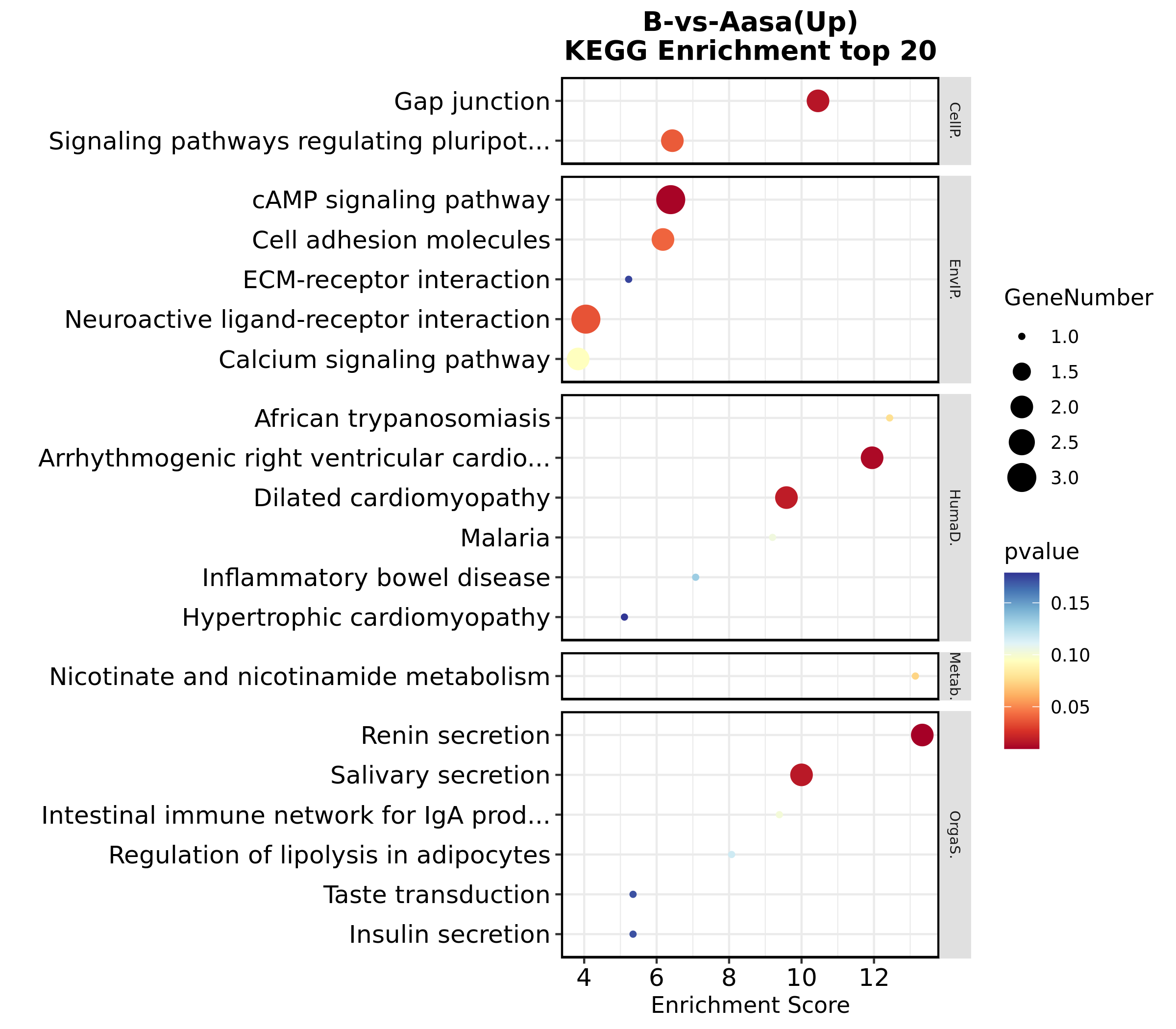 KEGG.top.Up.png