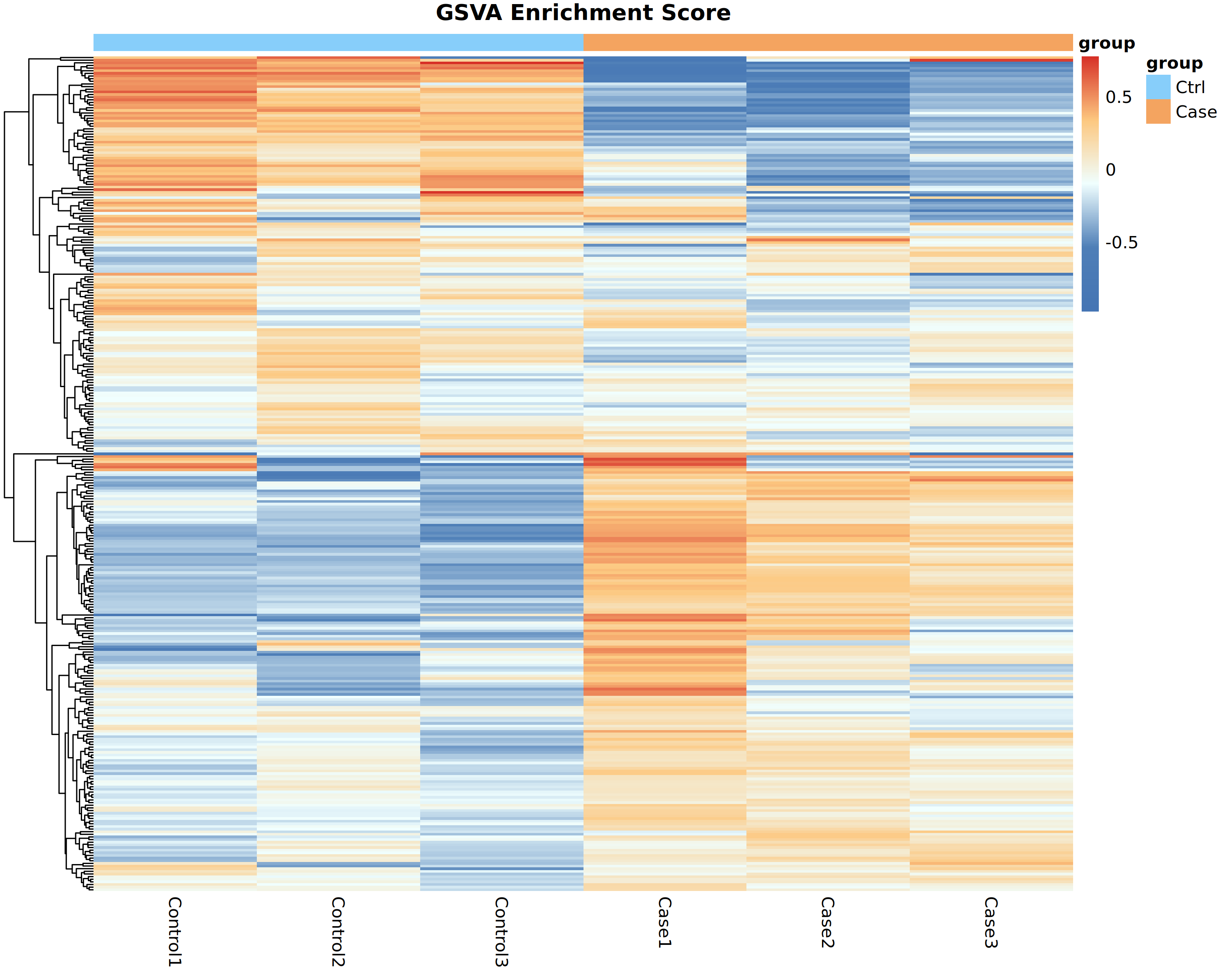 GSVA_enrichment_scores_heatmap.png